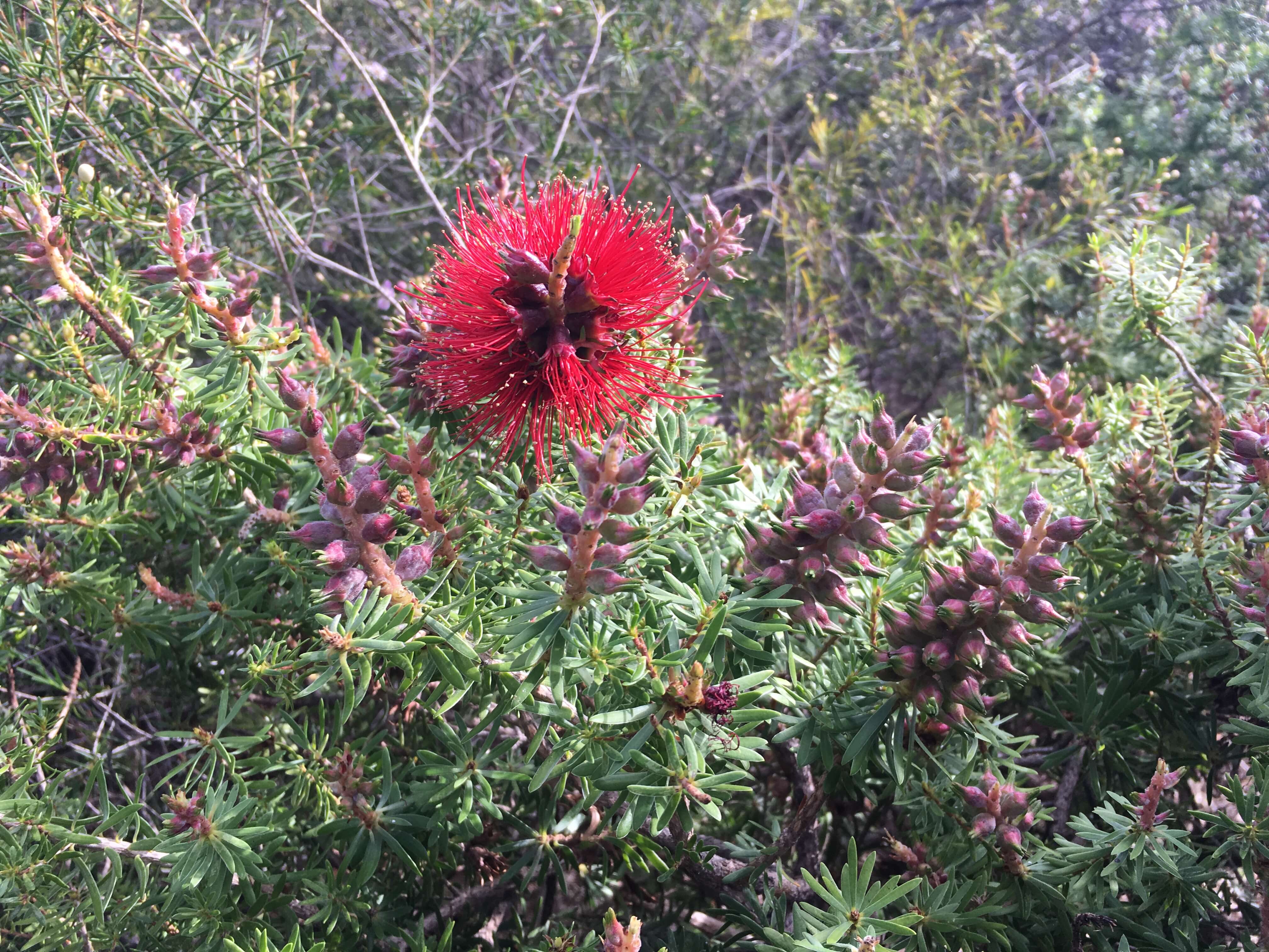 Grief following sudden or unexpected death - GriefLink