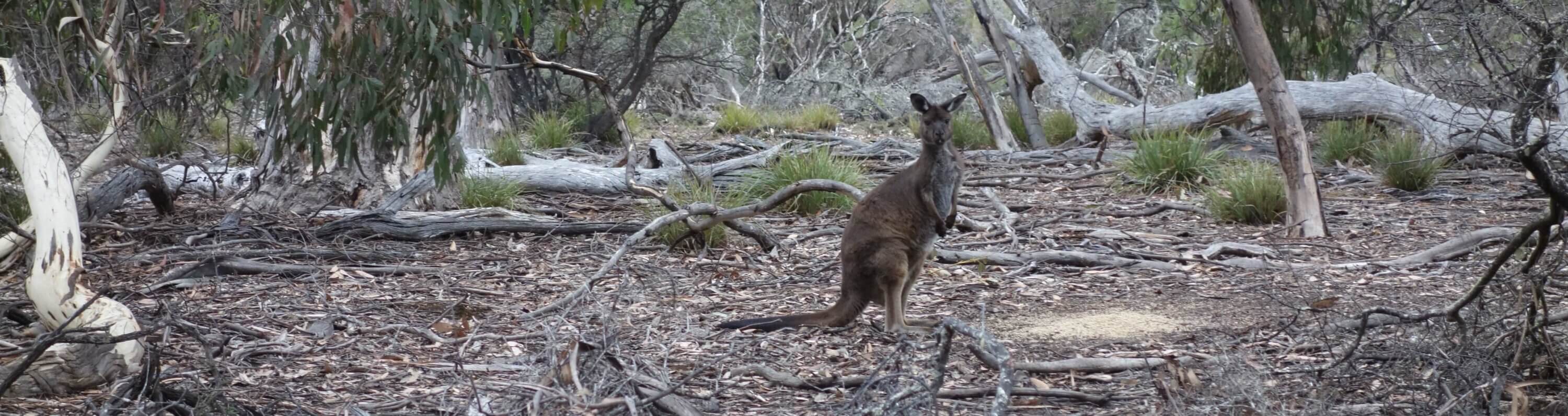 Grief following the death of a child - GriefLink