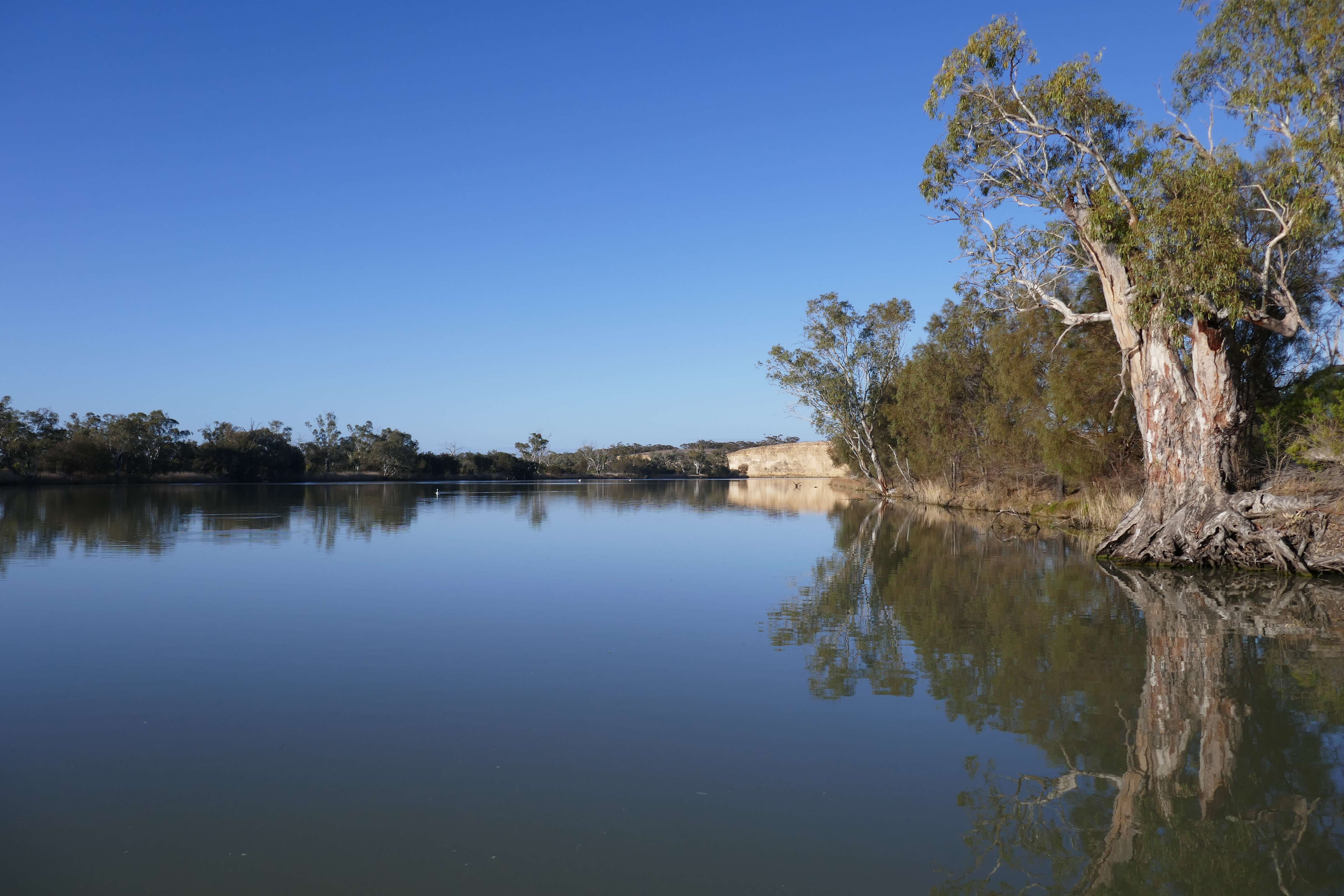 About us - GriefLink