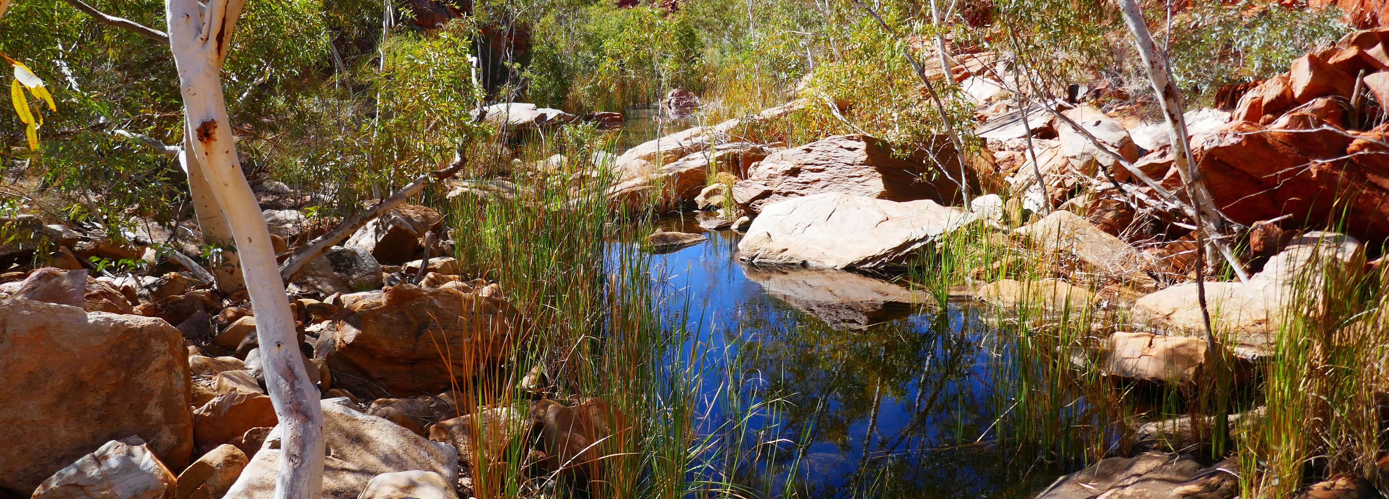 Grief and suicide - GriefLink